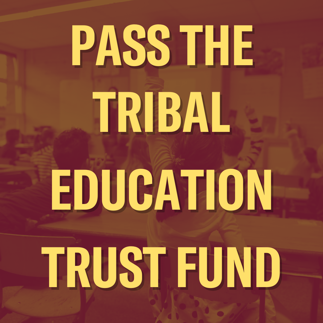 Tell Senators: Pass the Tribal Education Trust Fund! | American Civil ...