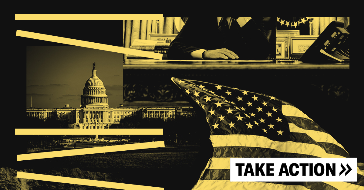 Tell Congress: America Elects Presidents, Not Kings | American Civil ...