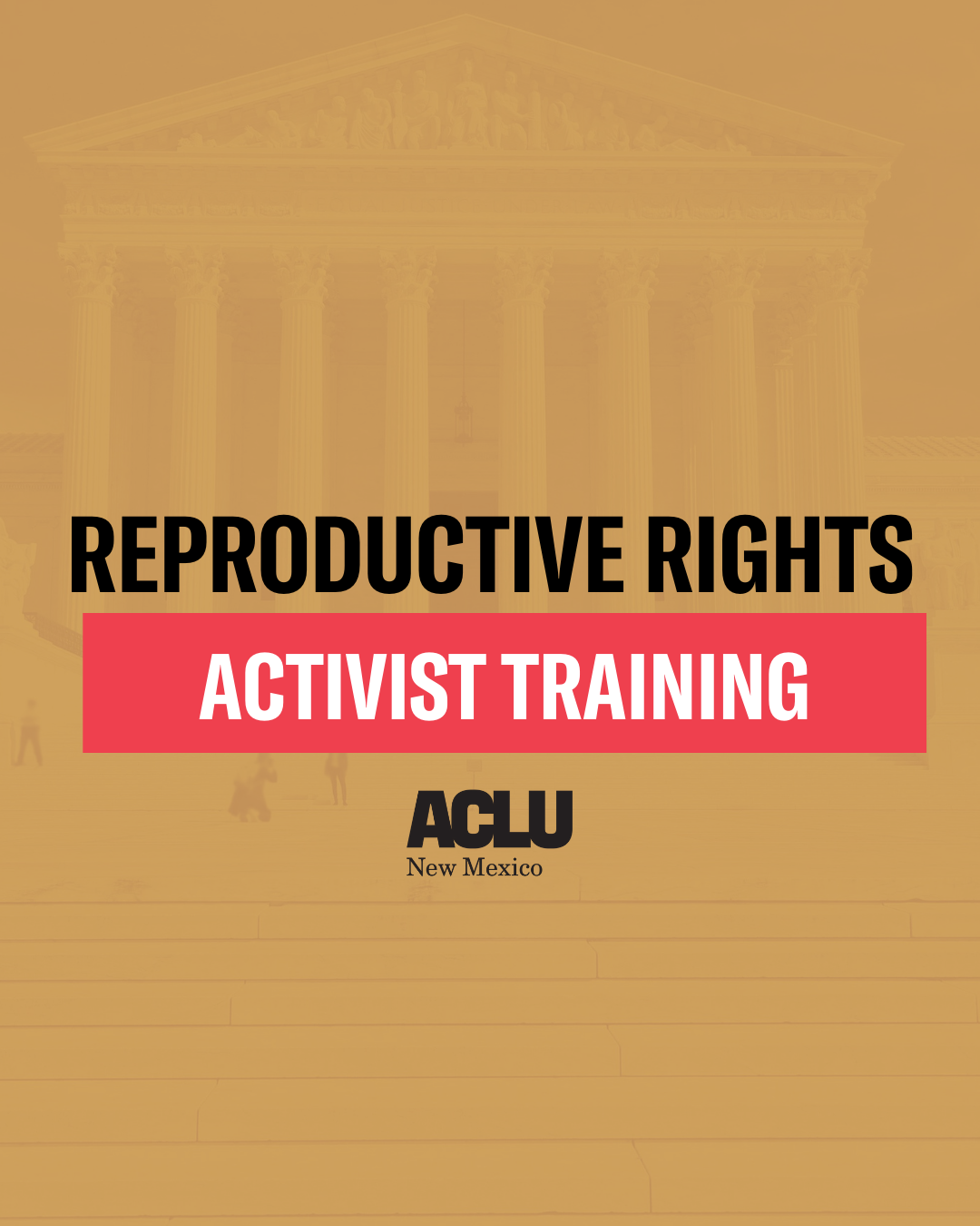 Reproductive Health, Rights, and Justice Activist Training | American ...